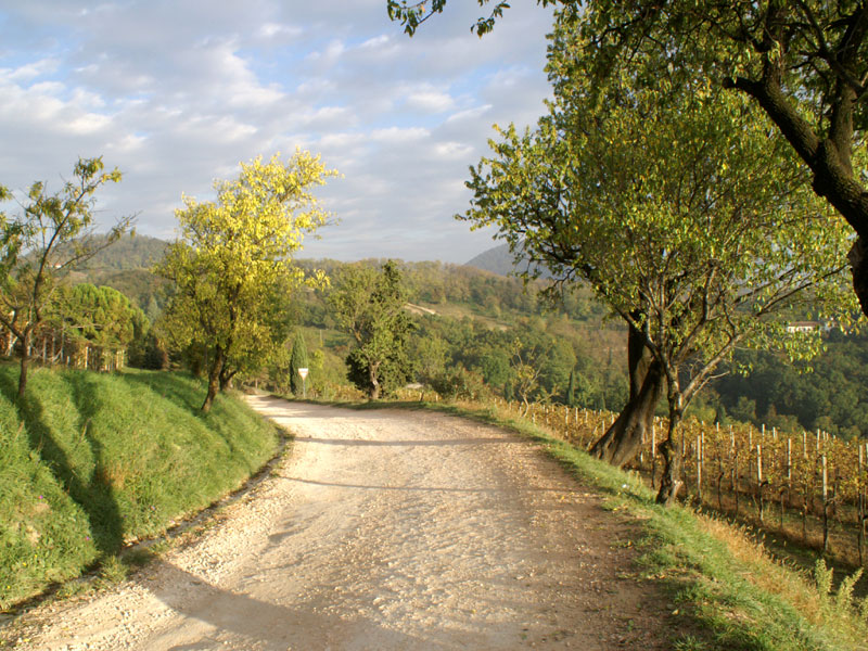 Passeggiata sui colli Euganei con i bambini – Monellini a Spasso… in ...